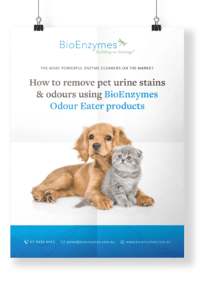 Best Enzymes Pet Cleaner - BioEnzyme Pet Care Products