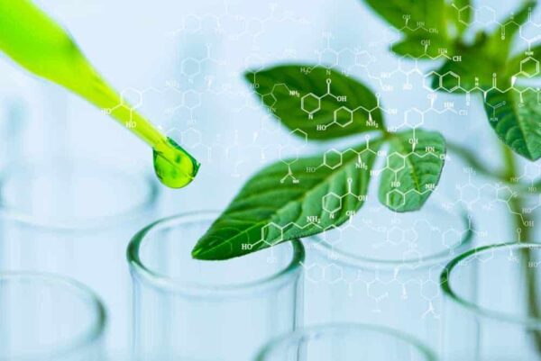 What is an Enzyme Cleaner & How Do Enzymes Work?